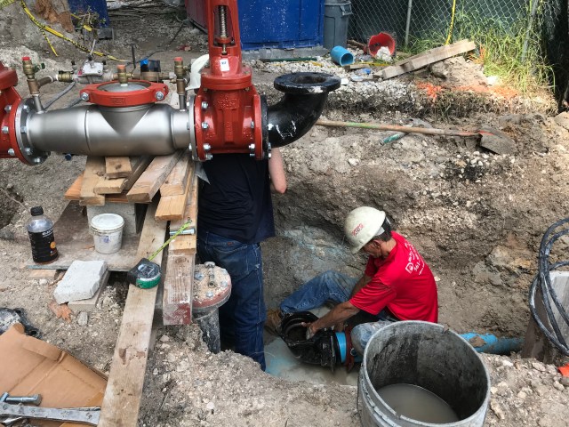 Other Services – DiLO FIRE SPRINKLER AND ALARMS